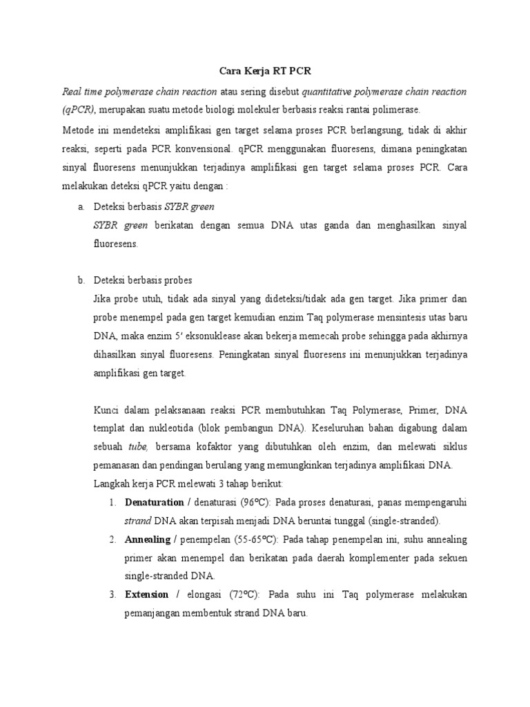 Cara Kerja RT PCR | PDF
