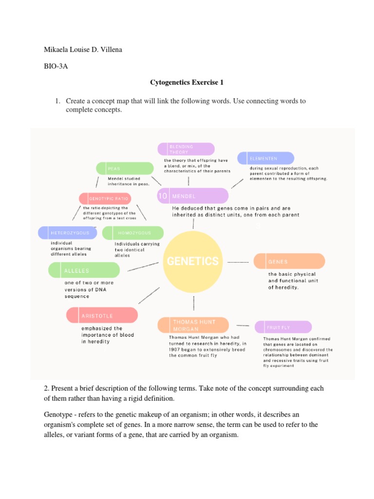 Cytogenetics Concept Map and Terms | PDF | Dominance (Genetics) | Allele