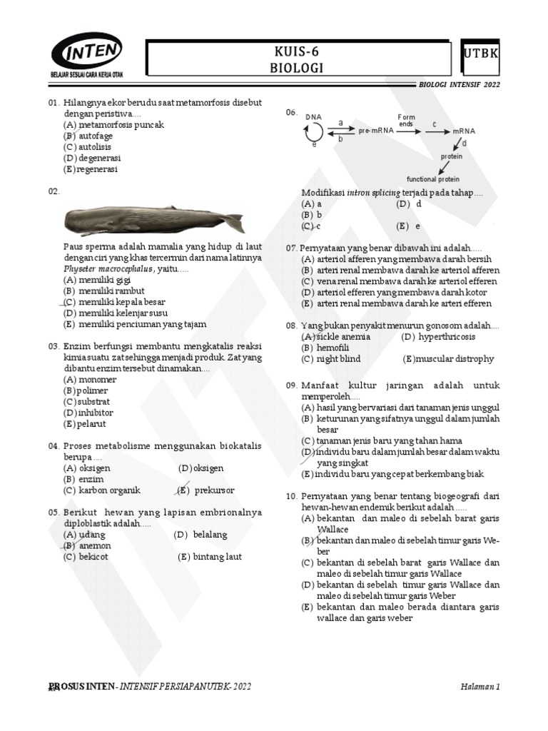 Kuis Set-6 Intensif 2022 | PDF