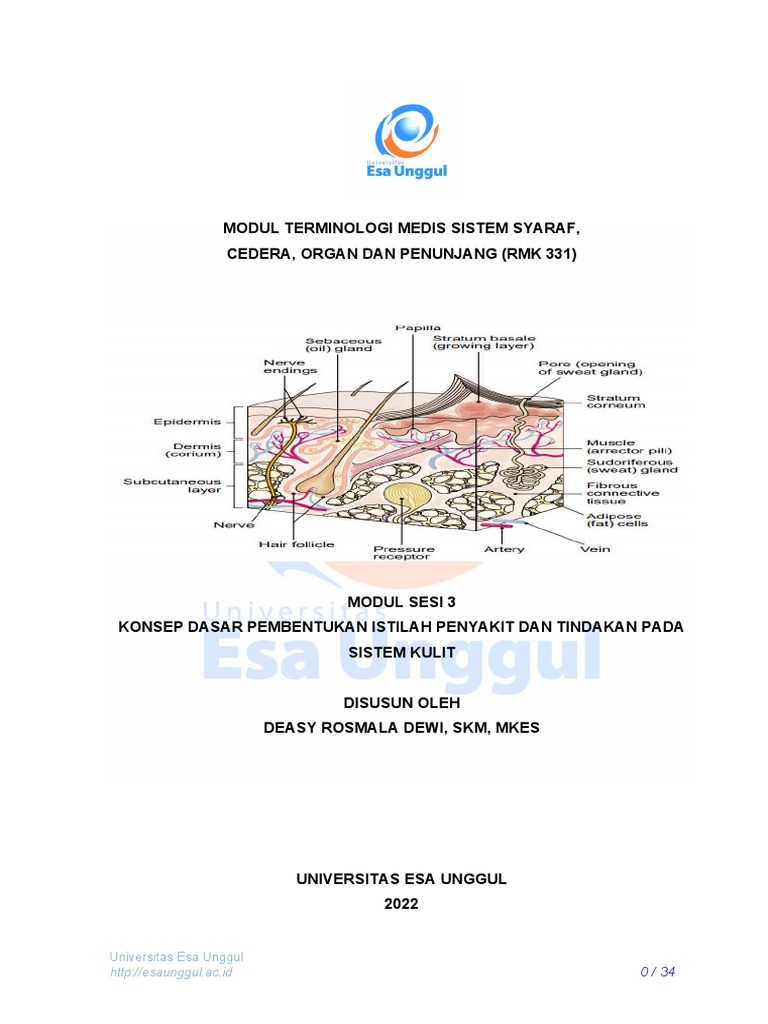 Terminologi Medis Saraf, Cedera, Dan Organ Penunjang | PDF