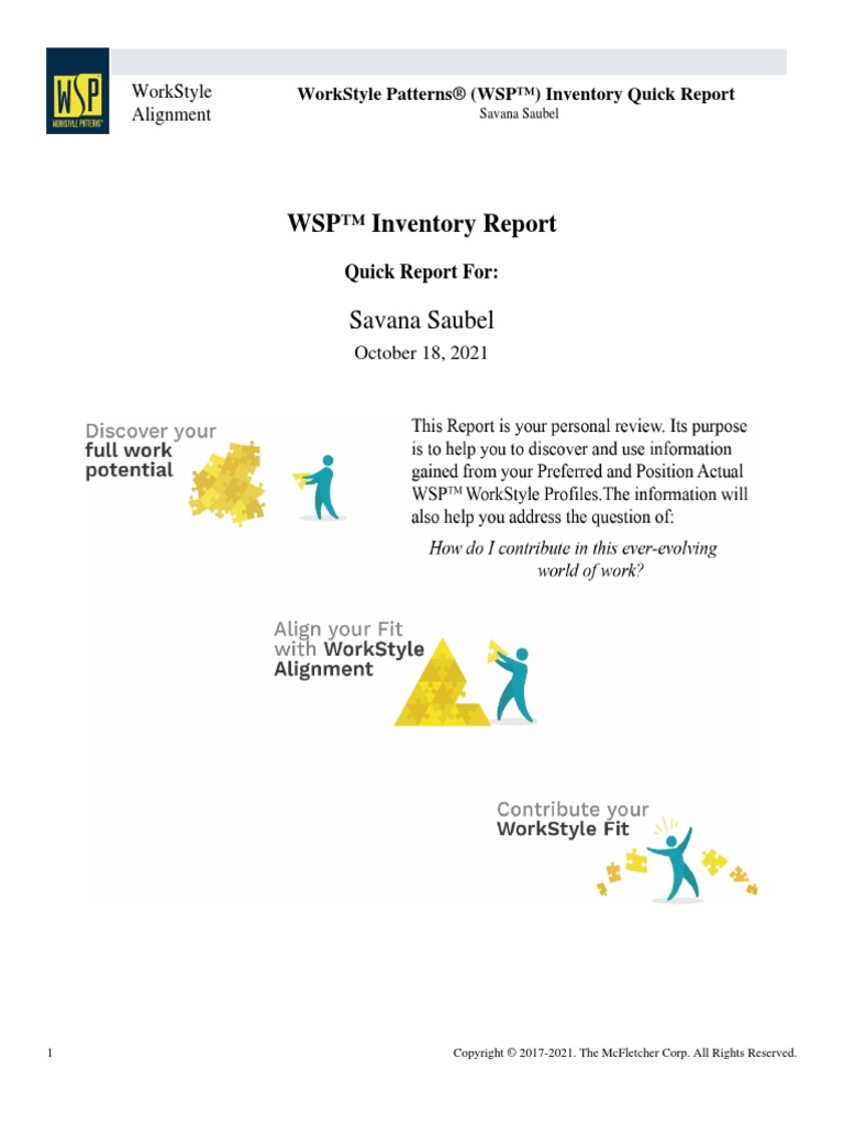 WSP Inventory Quick Report | PDF | Inventory | Communication