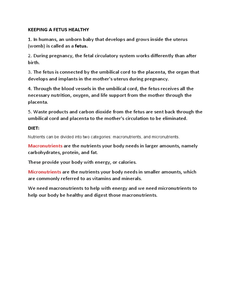 Keeping A Fetus Healthy | PDF