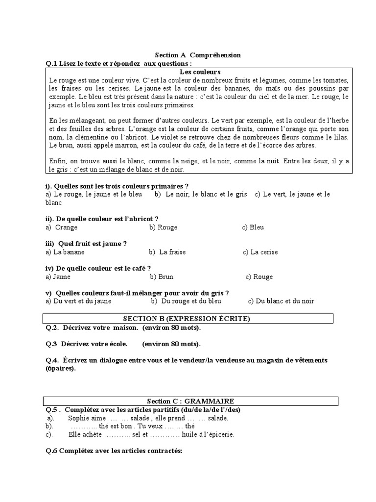 G6-Sample Paper SA-2 22-23 | PDF | Jaune | Bleu