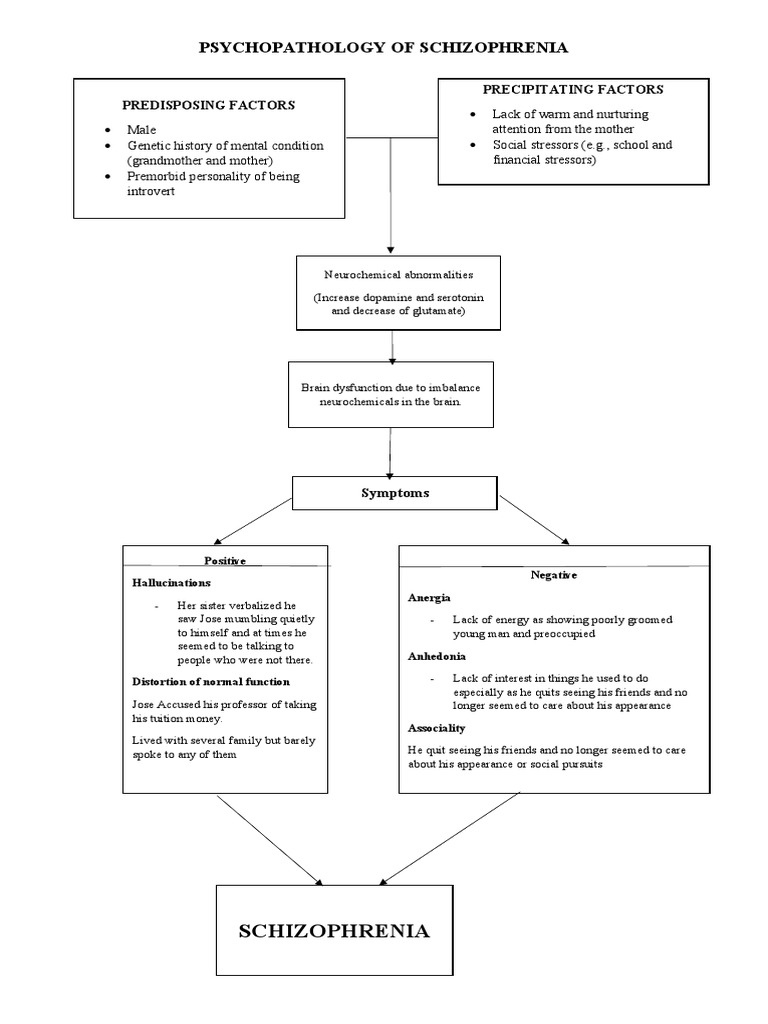 Psychopathology Schizophrenia | PDF