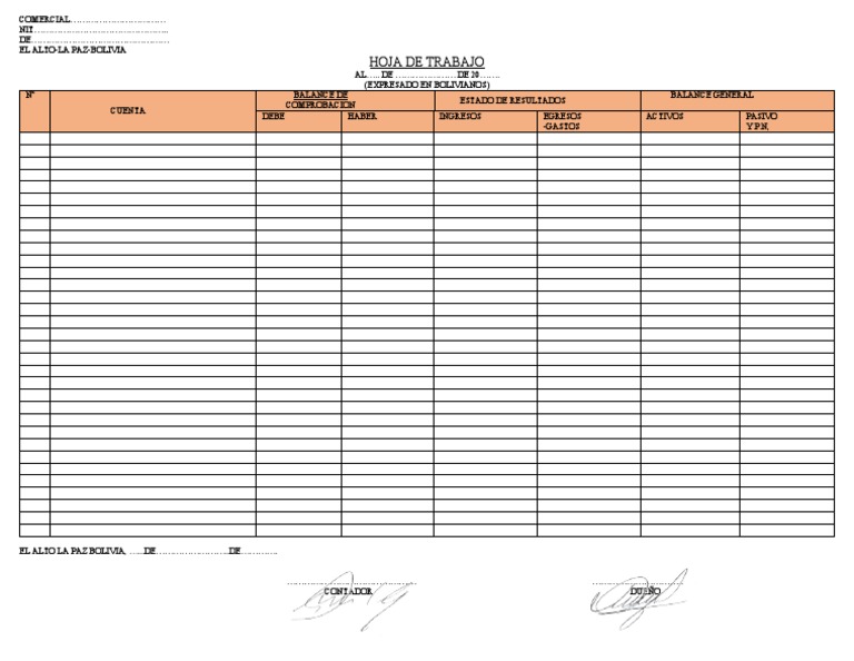 Hoja de Trabajo de 6 Columnas | PDF