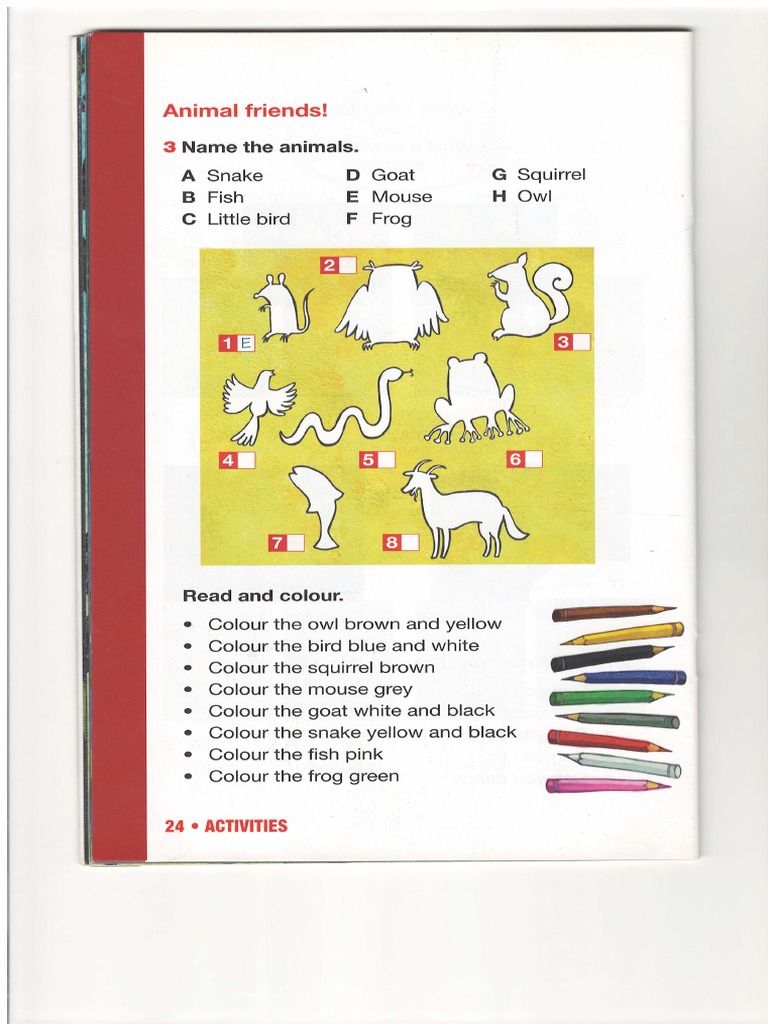 The Owls Song Reading Activity | PDF