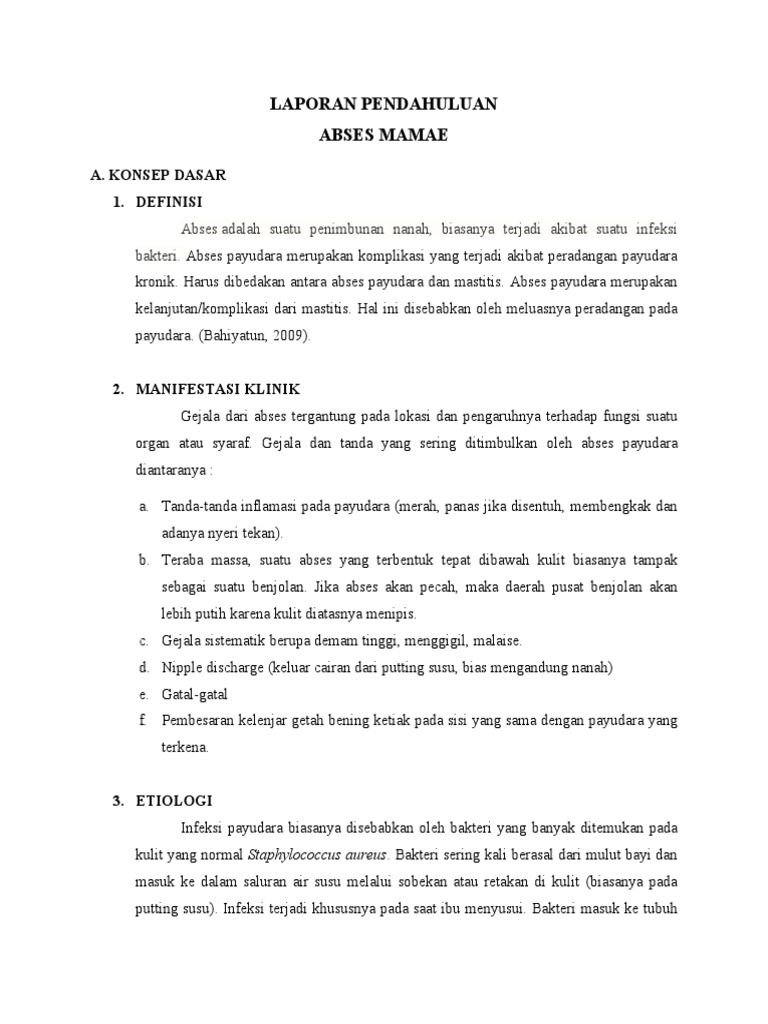 Lp-Abses-Mamae Pelia | PDF