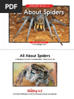 Year 4 Module 8 Amazing Animals Worksheets | PDF | Tiger | Tyrannosaurus