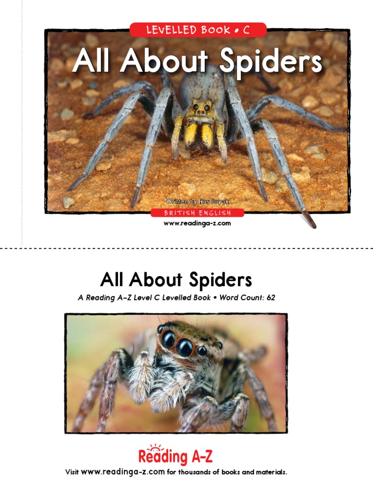 All About Spiders | PDF