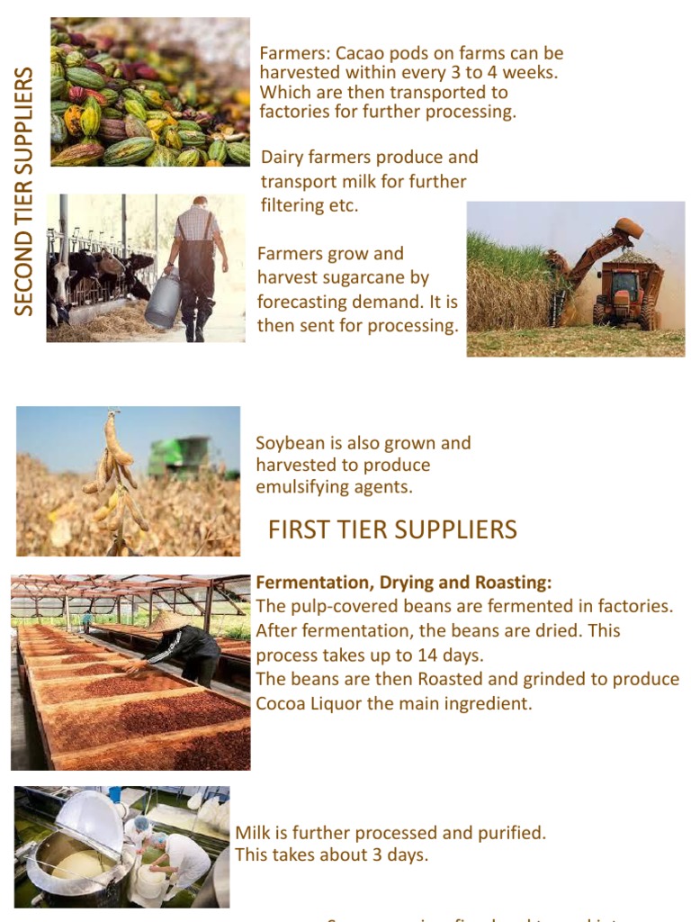 SCM Supply Chain of Chocolate | PDF | Chocolate | Cocoa Bean