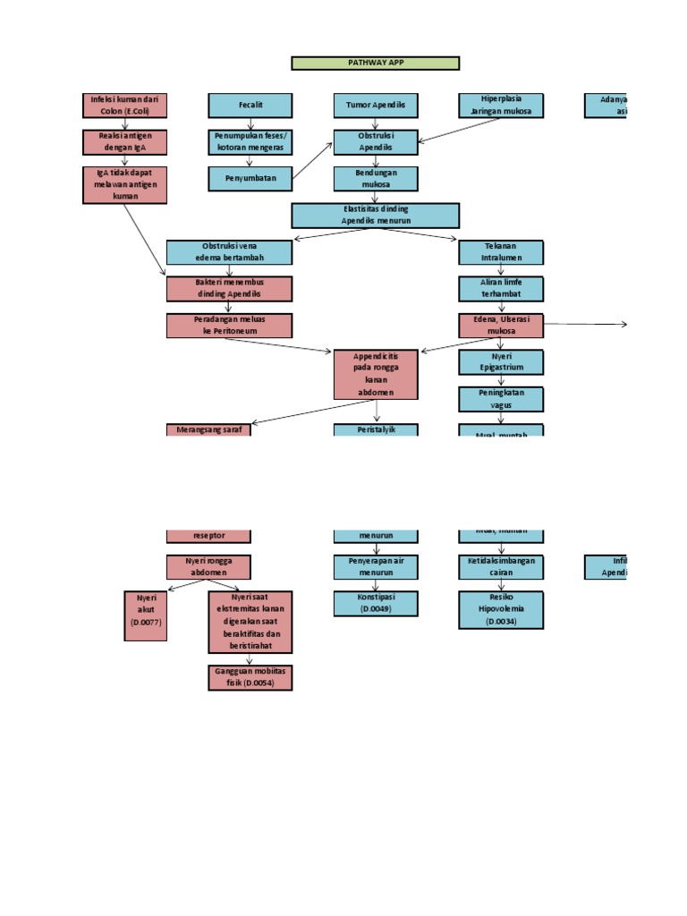 Pathway APP (Ruang OK) | PDF