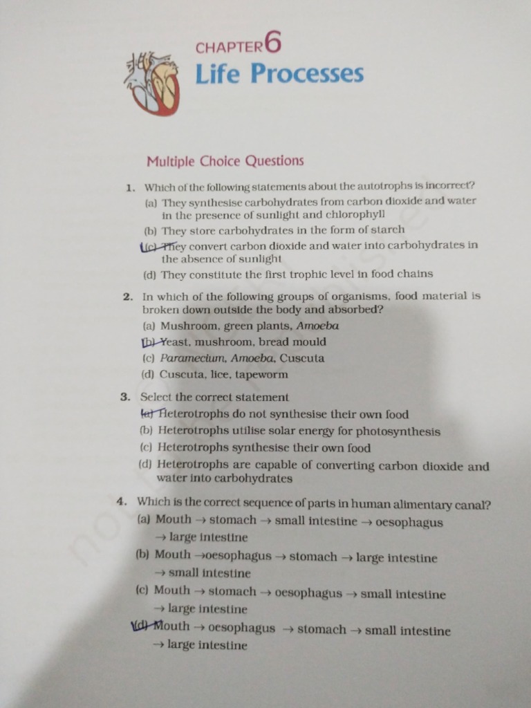 Ch-6 Life Processes Solutions | PDF | Fermentation | Pyruvic Acid