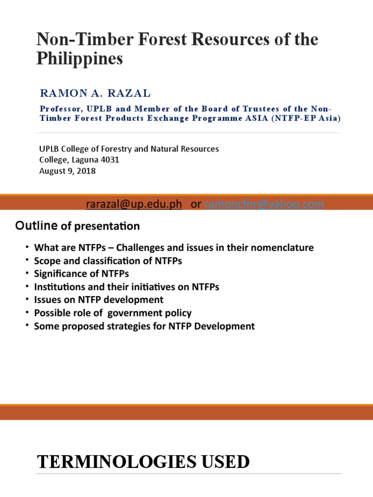 Overview of NTFPs | PDF | Plants | Foods