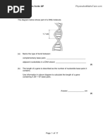 Phylogeny Practice Problems | PDF | Phylogenetic Tree | Mathematical ...