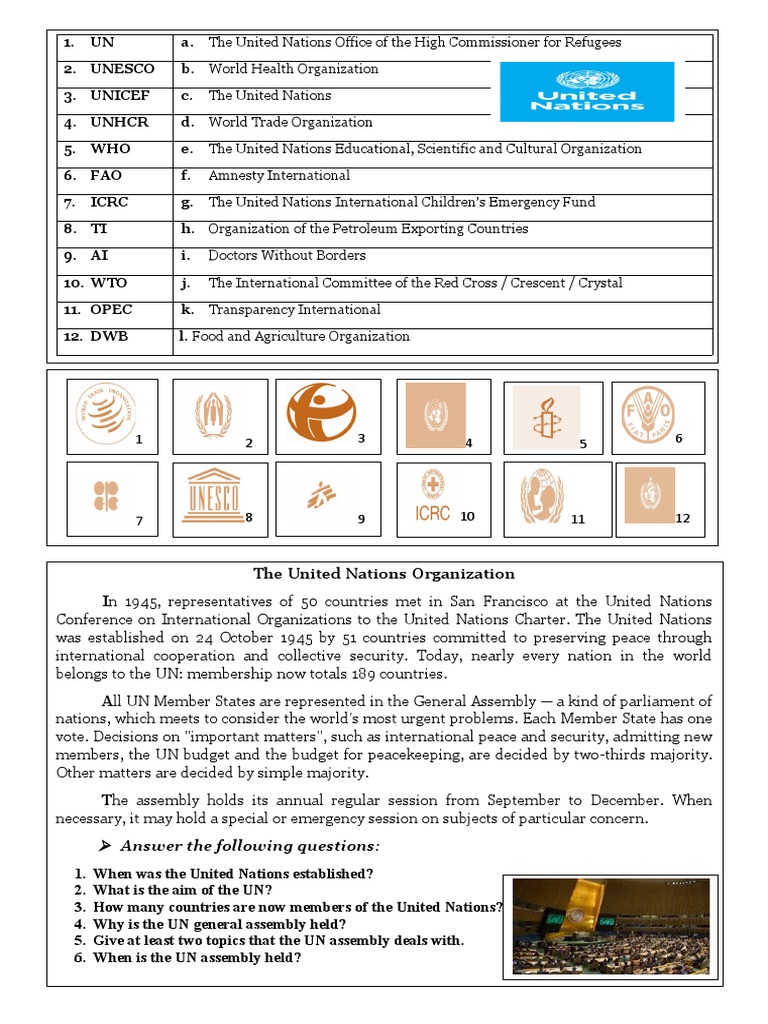 International Organizations Reading Comprehension Exercises - 106038 | PDF