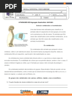 Prova 3b - 3º Ano Ciências | PDF