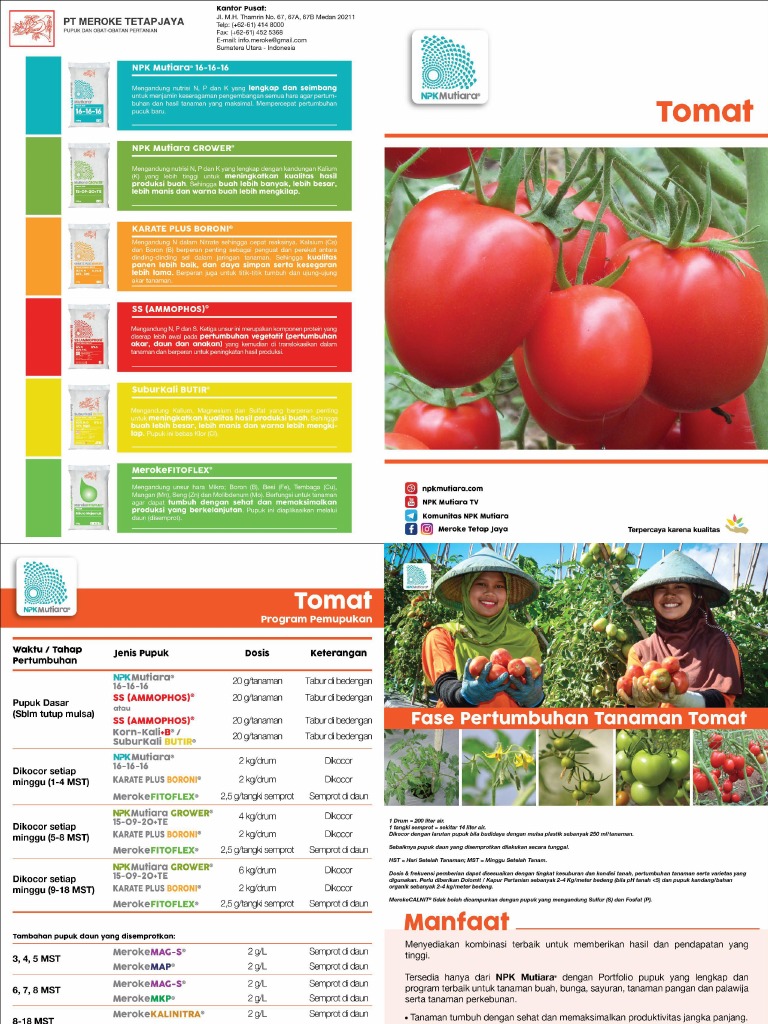 Brosur Program Pemupukan Tomat | PDF