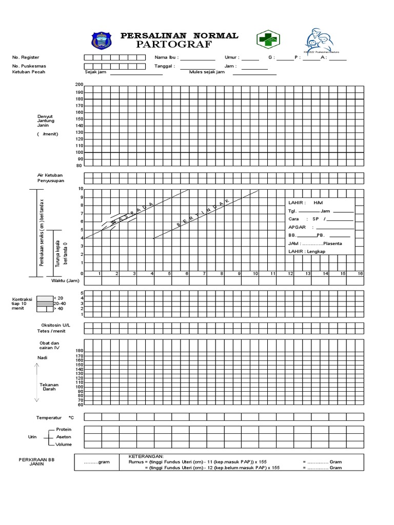 Patograf | PDF