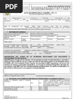 Formato Único de Noticia Criminal FPJ-2 | PDF | Gobierno ...