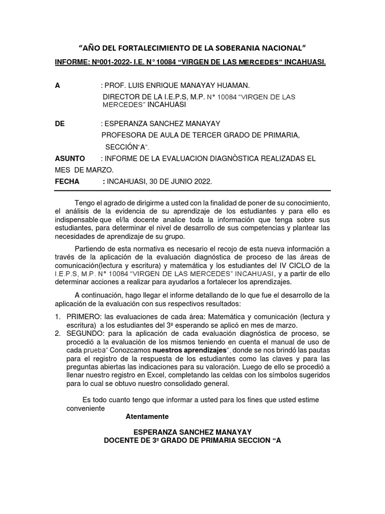 Informe De La Evaluacion Diagnóstica Pdf 8920