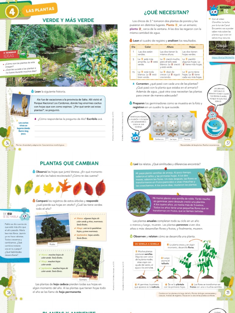 Las Plantas - GUARDIANES DEL MUNDO 3 | PDF