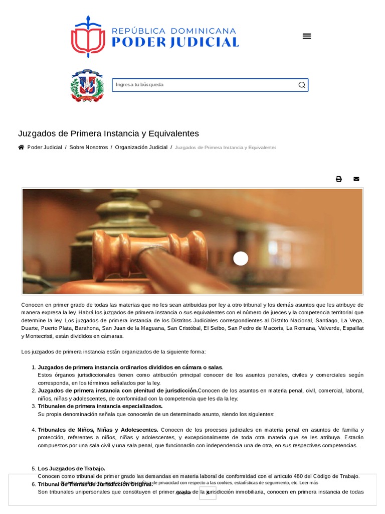 Juzgados de Primera Instancia y Equivalentes - Poder Judicial | PDF ...