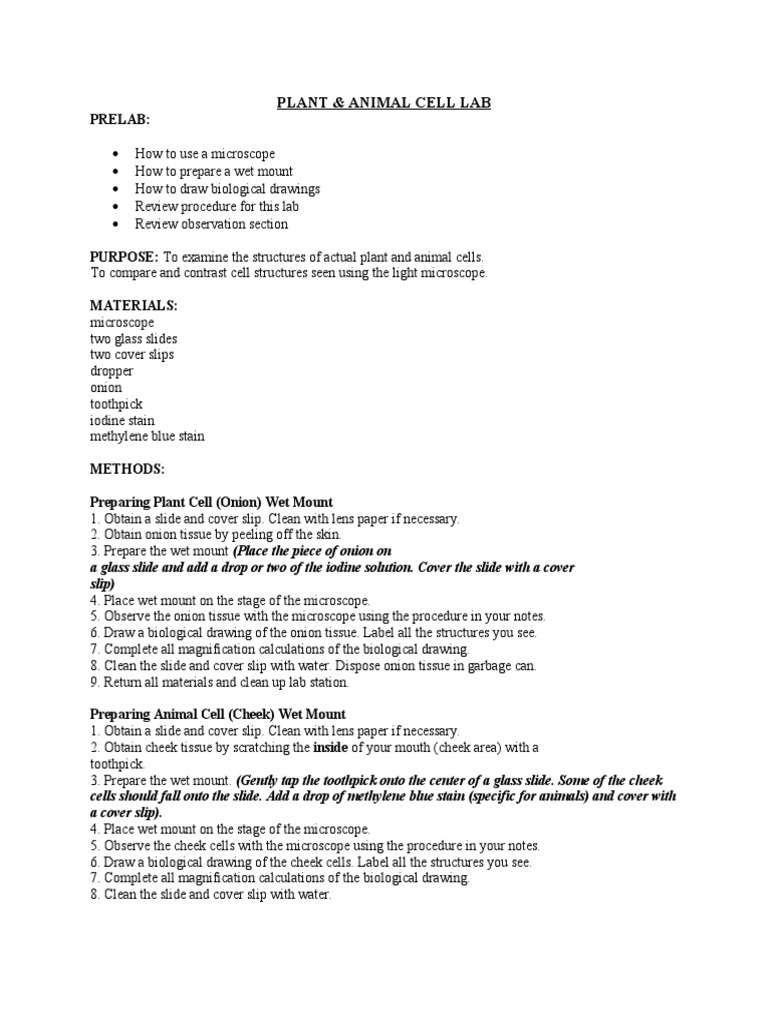 Plant and Animal Cell | Download Free PDF | Staining | Physical Sciences