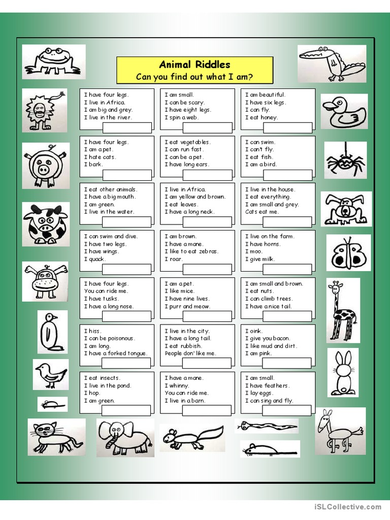 Animal Riddles 1 (Easy) - 1 | PDF | Birds