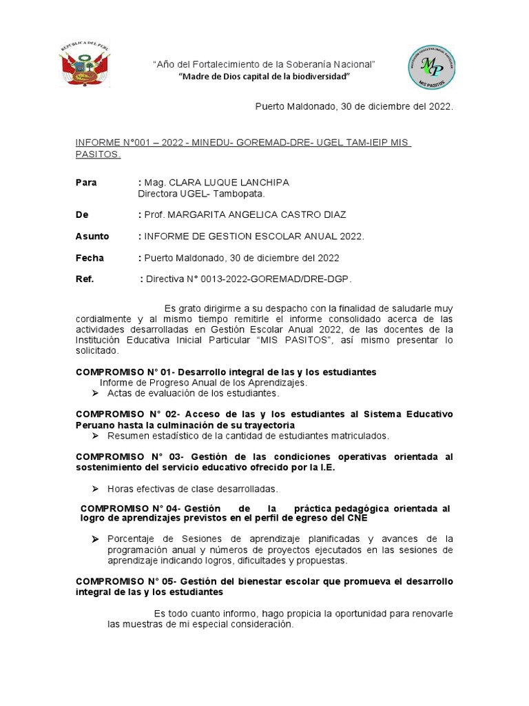 Informe A La Ugel | PDF | Entorno natural | Aprendizaje