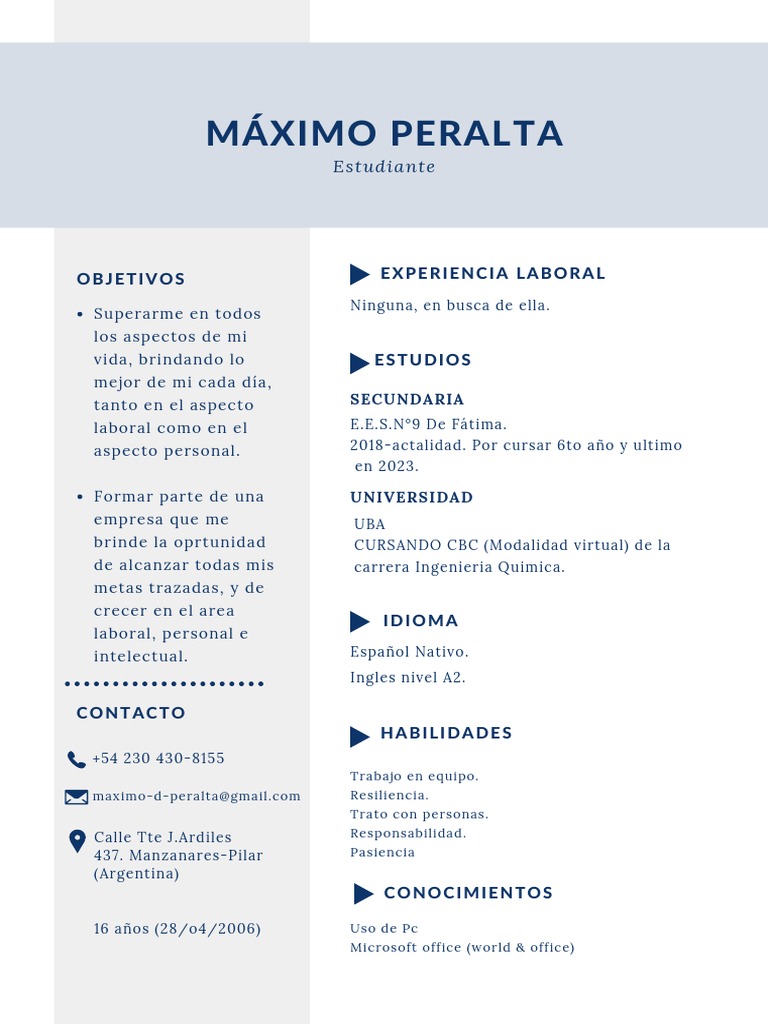 CV para McDonald S Sin Terminar | PDF