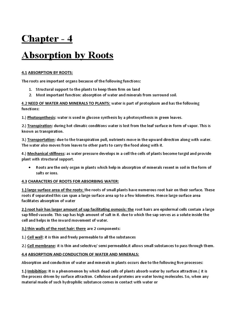 Absorption by Roots | PDF | Osmosis | Chemistry