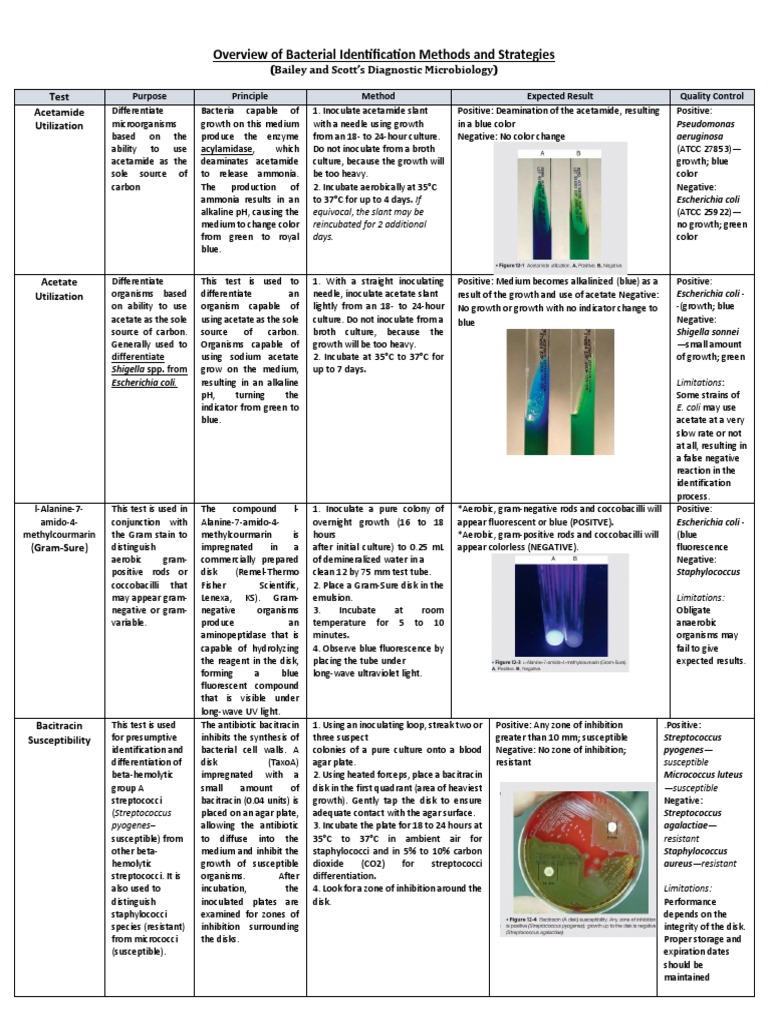 Biochemical Testing | PDF | Streptococcus | Staphylococcus