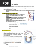 Presión Transmural en Vasos Pulmonares | PDF | Pulmón | Science