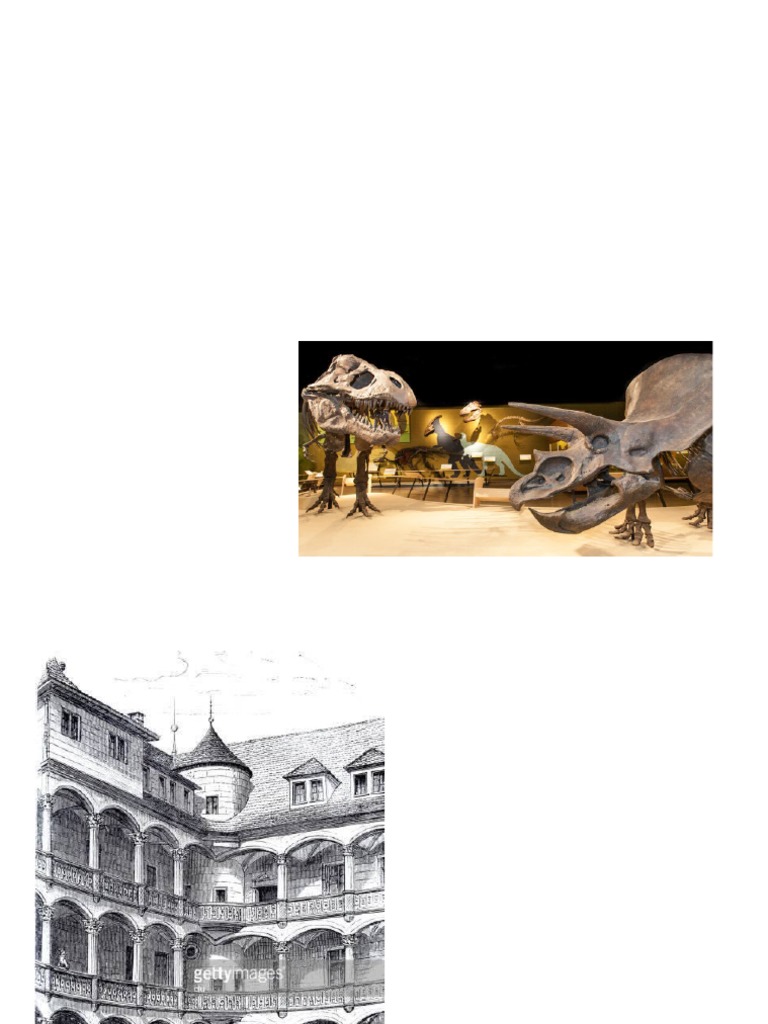 Cuvier | PDF