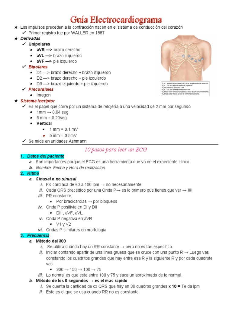 Guía Electrocardiograma | PDF | Electrocardiografia | Sistema ...
