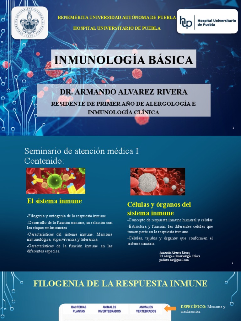 Sistema Inmunitario FINAL | PDF | Sistema inmune | Linfocitos