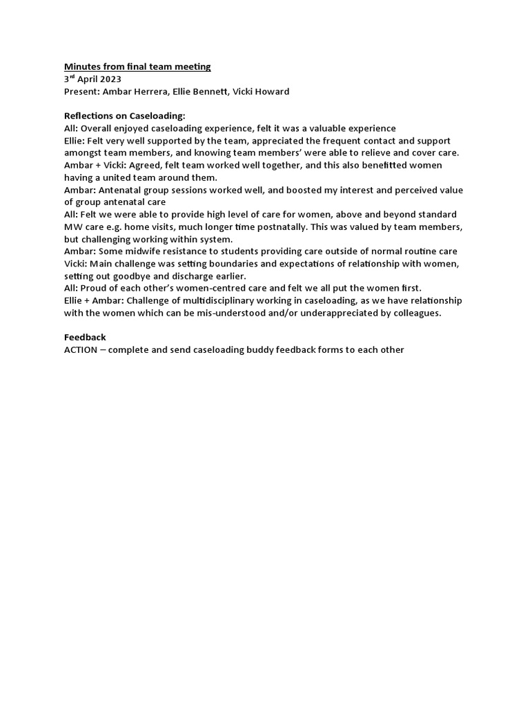 Minutes From Final Team Meeting 03 04 23 | PDF