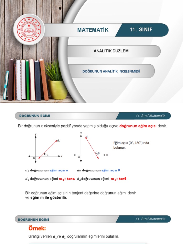 Matematik: 11. SINIF | PDF