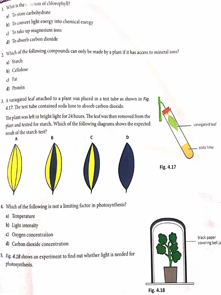 Biology Notes For Grade 9 | PDF