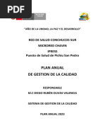 Plan Anual Refcon | PDF