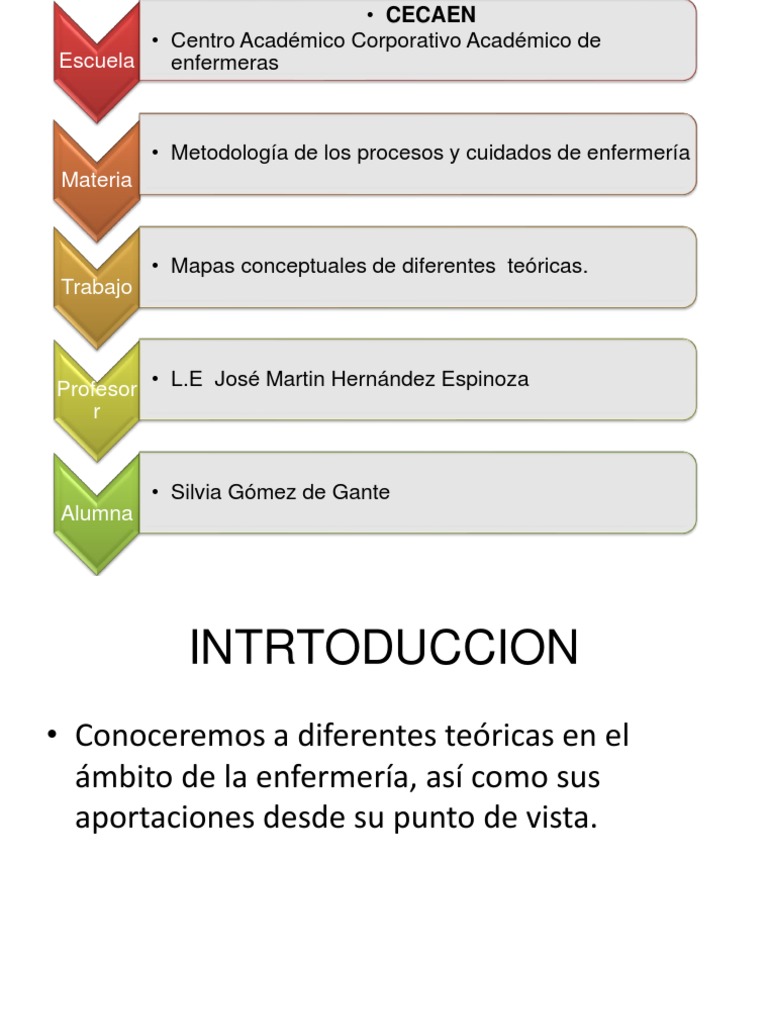 Mapas Conceptuales Pdf Enfermería