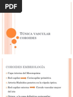 Anatomía y Patología de La Papila Óptica | PDF | Retina | Ojo humano