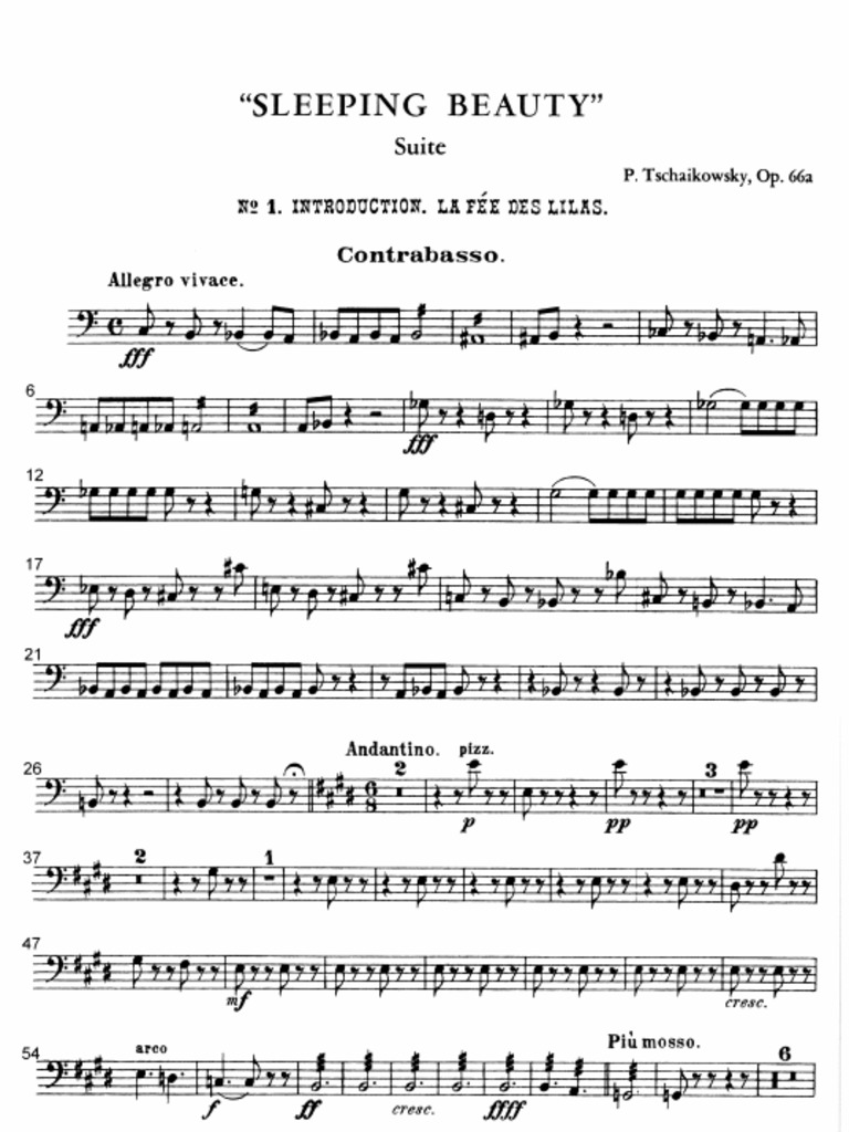 15 - Kontrabas | PDF