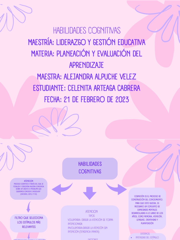 Habilidades Cognitivas | PDF | Percepción | Pensamiento