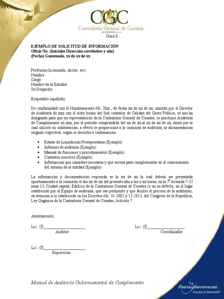 Guia 8 Requerimiento de Informacion | PDF | Auditoría | Gobierno