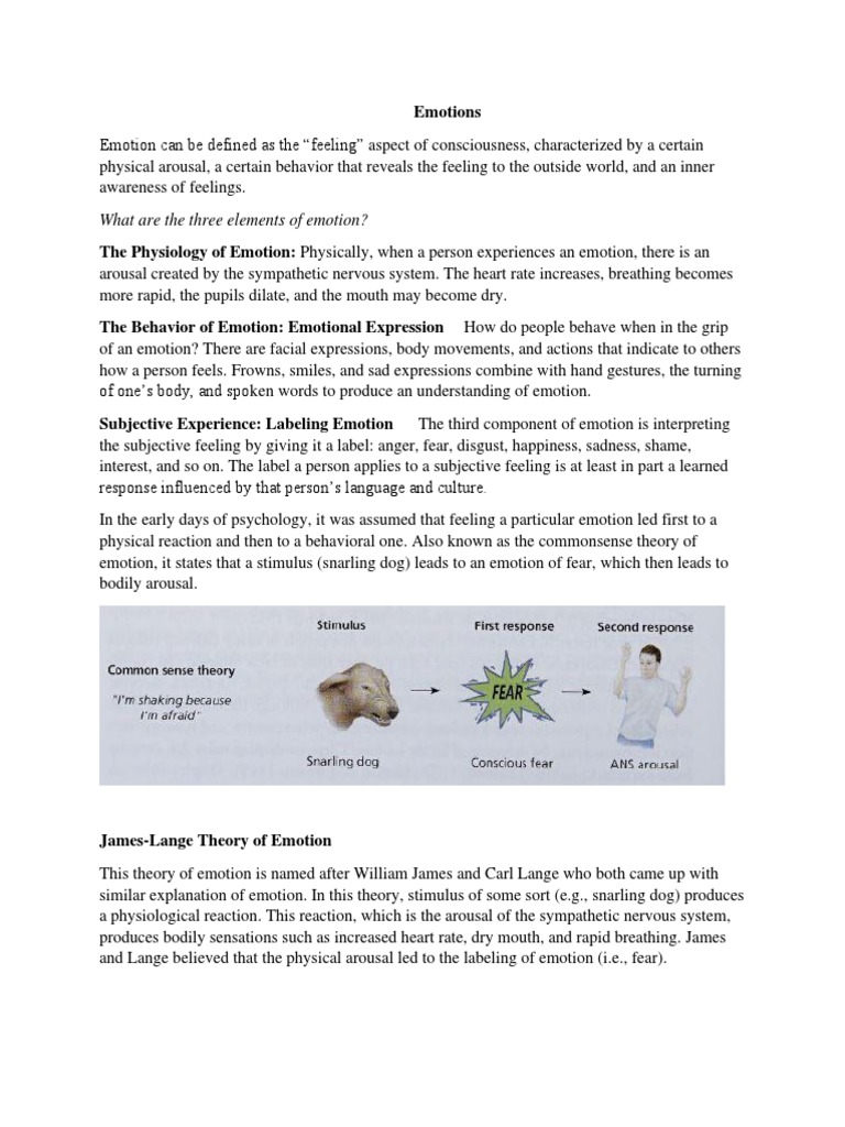 What Are The Three Elements of Emotion? | PDF | Emotions | Feeling