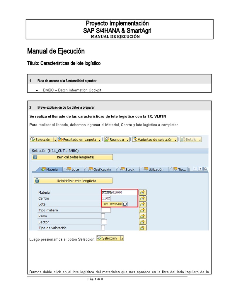 Manual de Ejecución BMBC en SAP | PDF | Informática