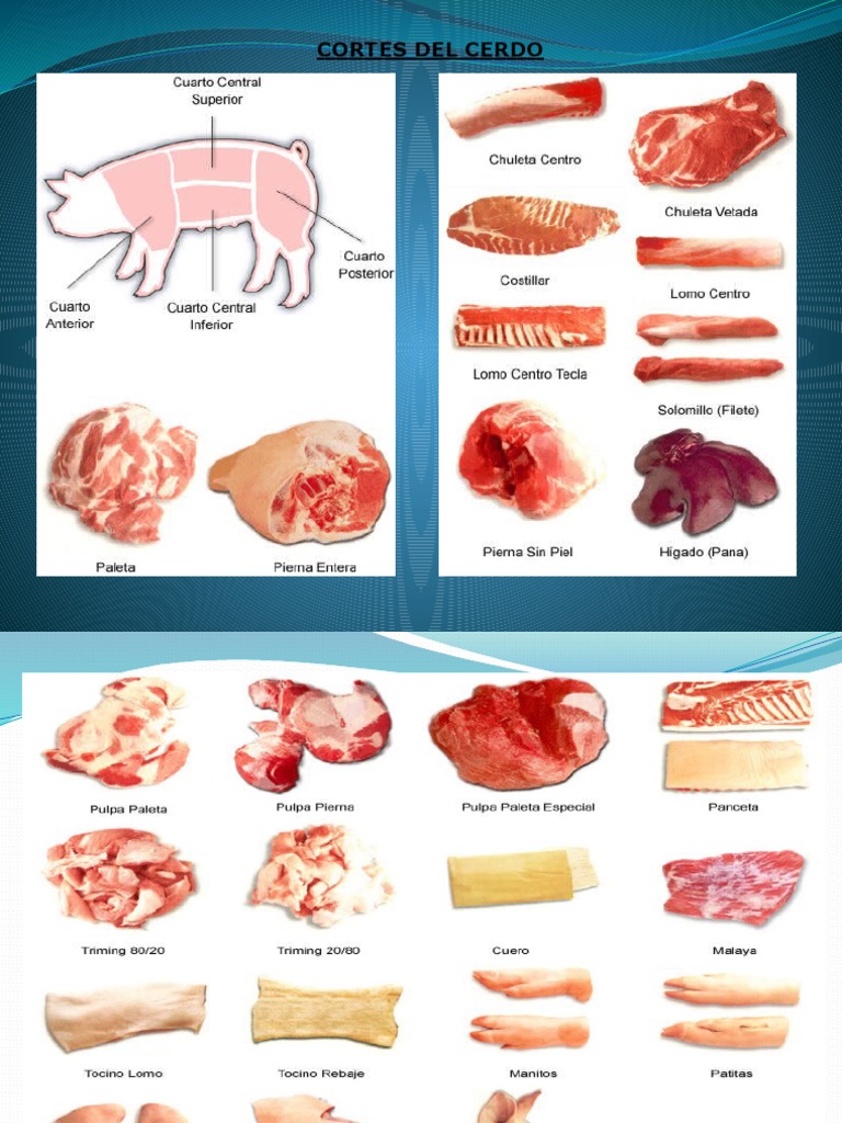 Cortes Del Cerdo | PDF | Carne | Mariscos