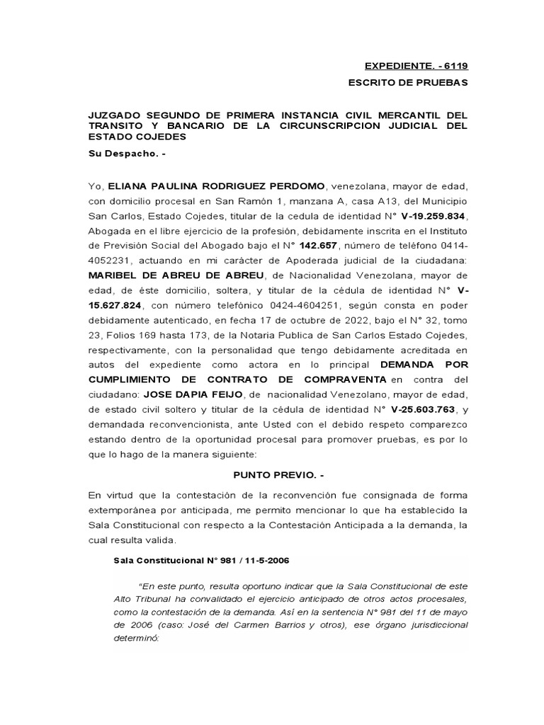 Escrito de Pruebas Yaneth | PDF | Demanda judicial | Justicia