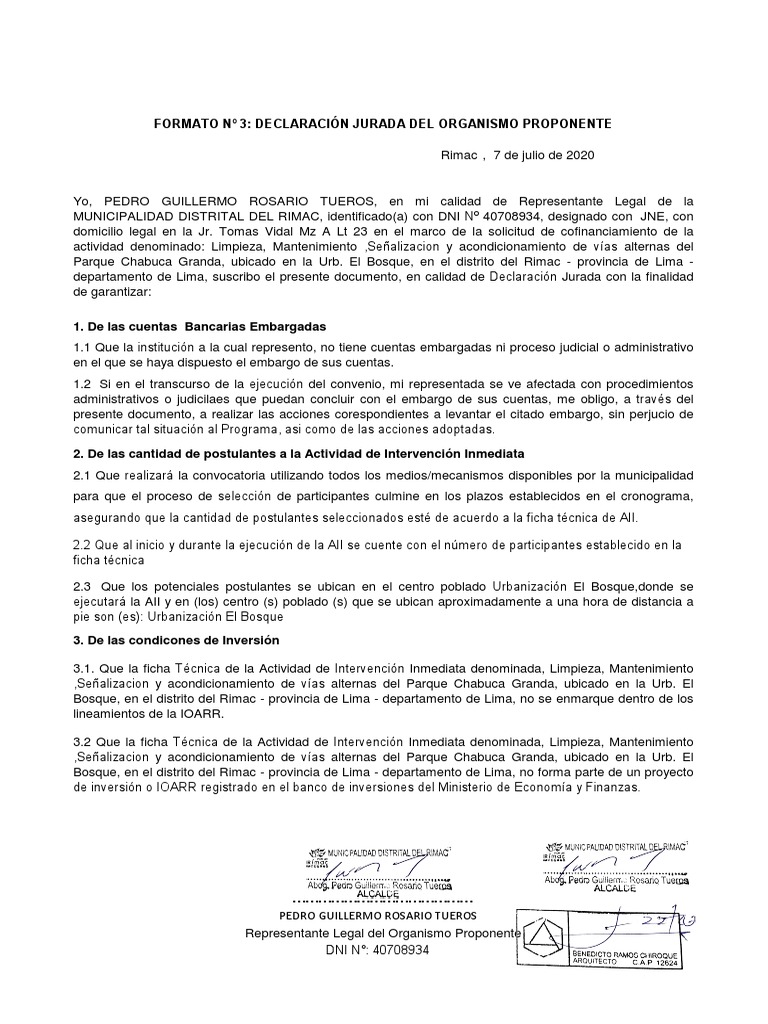 Formato #3: Declaración Jurada Del Organismo Proponente | PDF